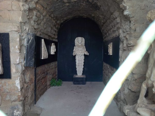 About – PARO Centre